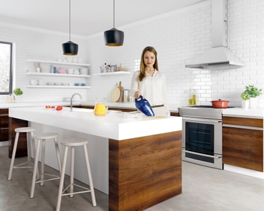 Electrolux Rapido rikkaimuri ZB5104WDB - Gigantti verkkokauppa